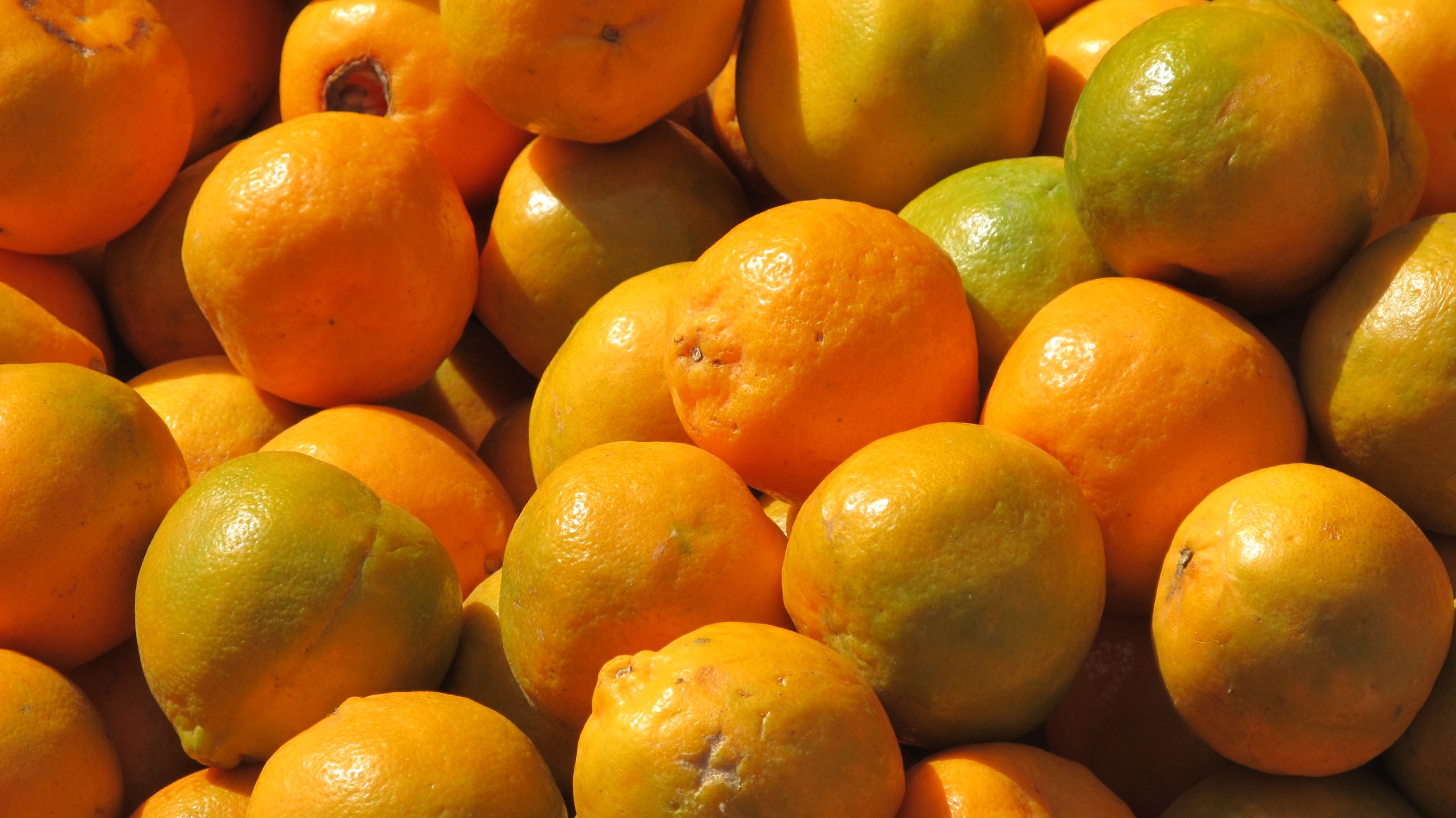 ஆரஞ்சு Orange - Aprroximate Weight - Otrumai - Online store for Grocery ...