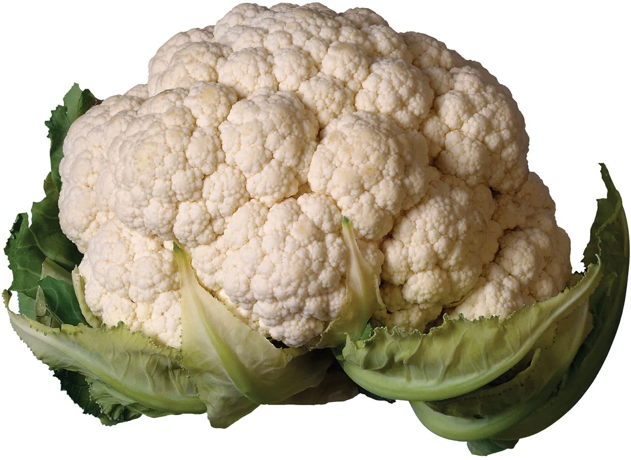 காலிஃப்ளவர் Cauli-flower - Otrumai - Online store for Grocery and ...