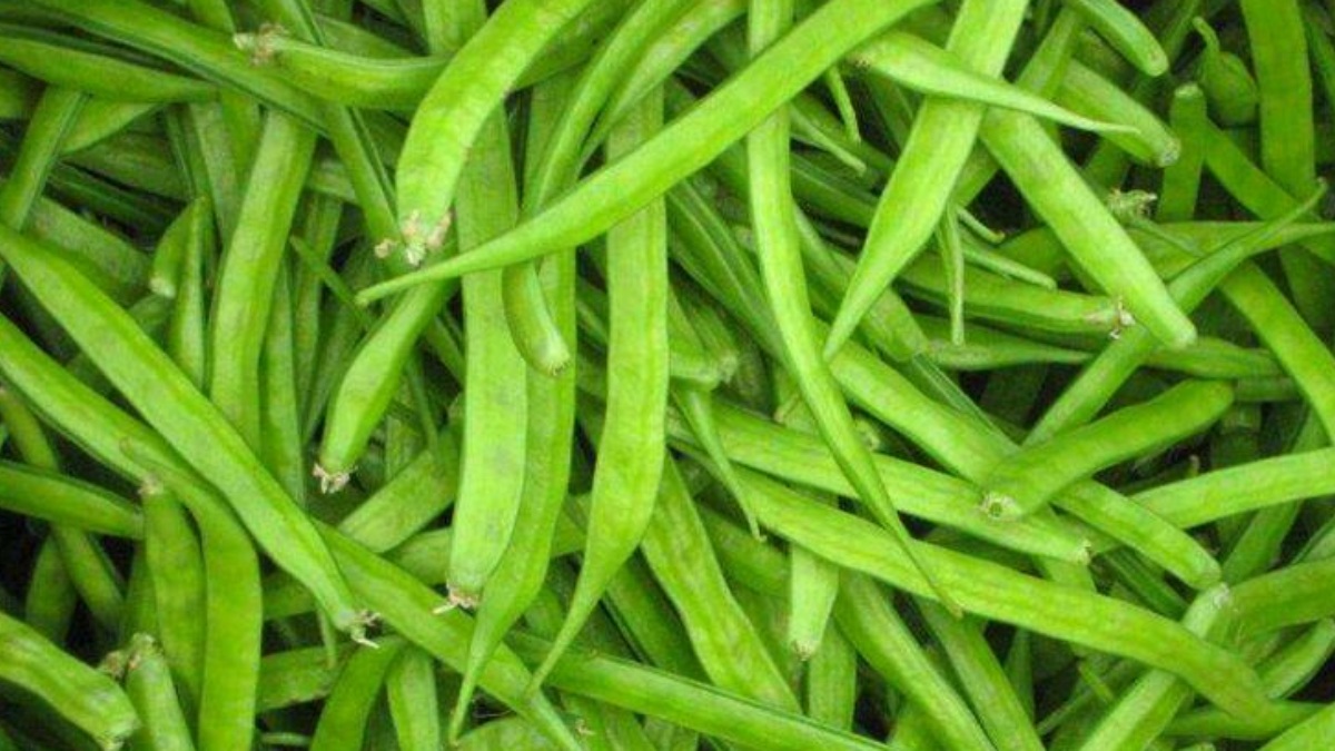 கொத்தவரங்காய் Cluster Beans - Otrumai - Online store for Grocery and ...